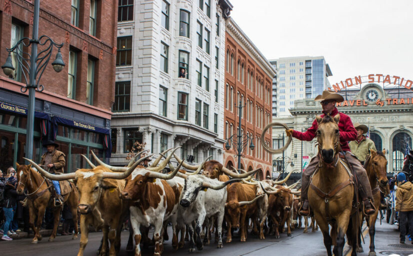National Western Stock Show - El Comercio de Colorado